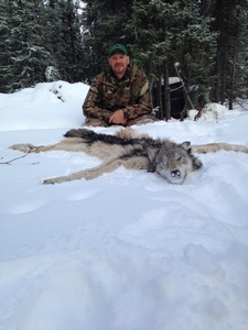 Guided Wolf Hunts Manitoba Canada | Agassiz Outfitters